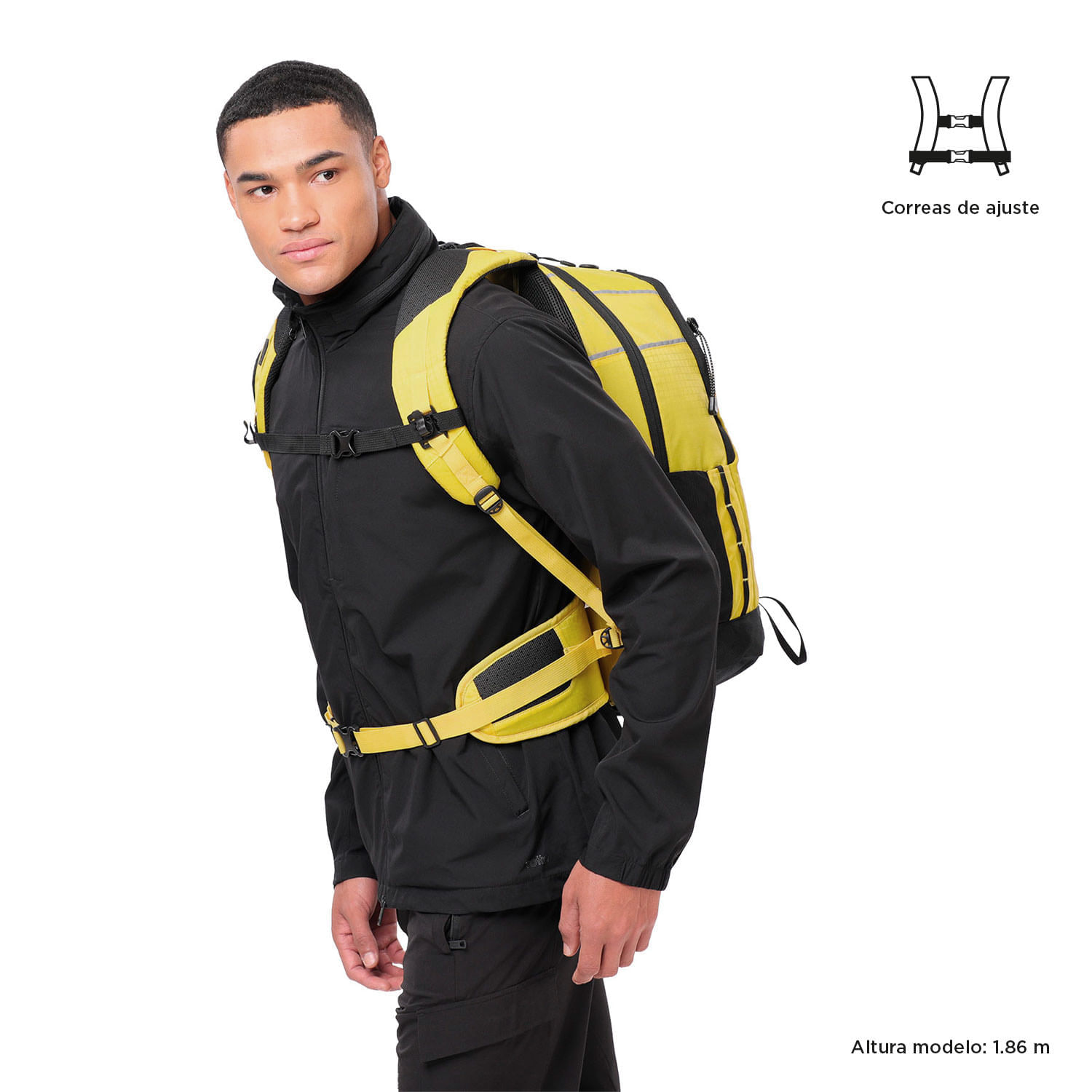 Salveque Especializado Rhimon - Totto