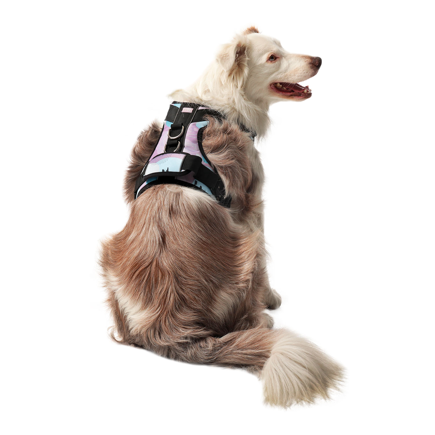 Arnés para Perro Draco L Grande Morada - Totto